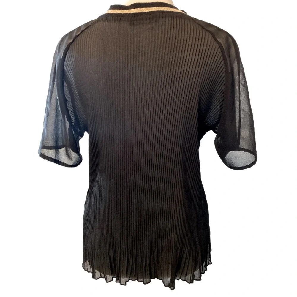 Zara | Tops | Zara Collection Pleated Sheer Top | Poshmark